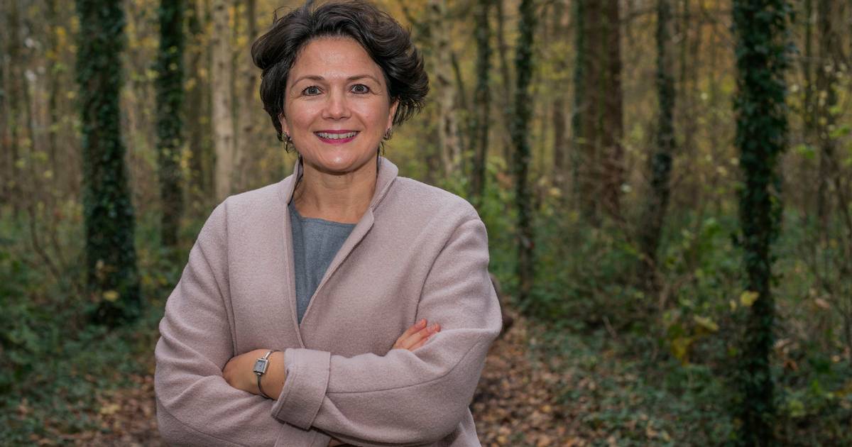 Felicitaties en bedankingen van gemeenteraadslid Lahaye-Battheu ...