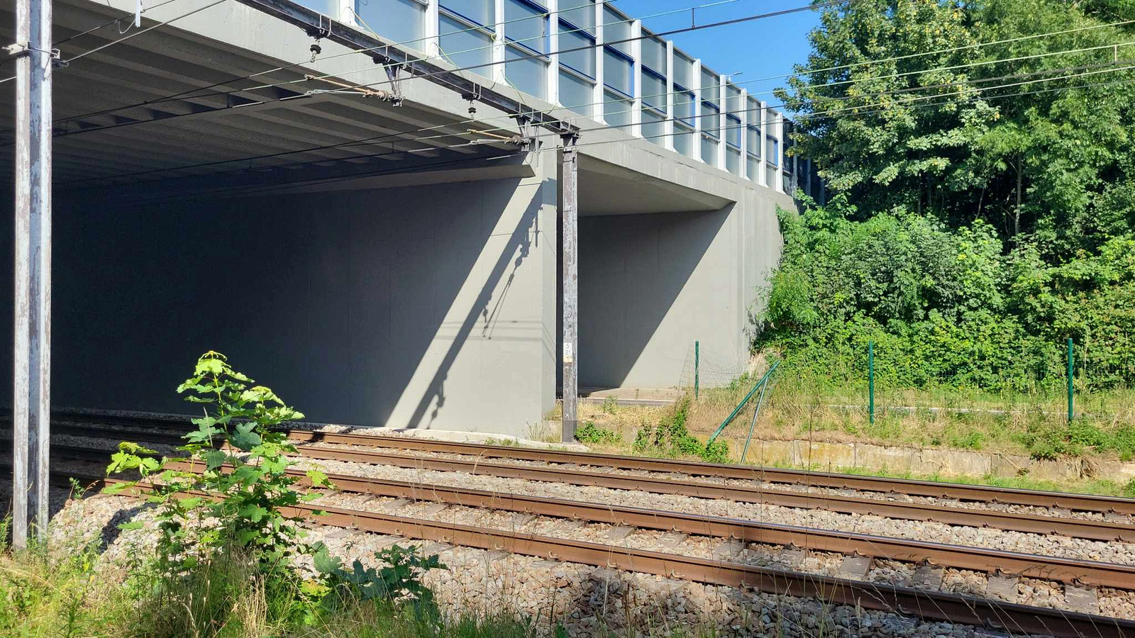 Buren reageren nadat illegale raveparty in Oud-Heverlee in de kiem ...