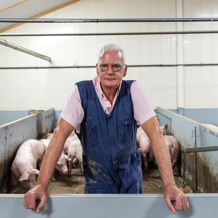 West-Brabantse boeren machteloos en moedeloos: ‘Ik vrees dat ik eerder ...