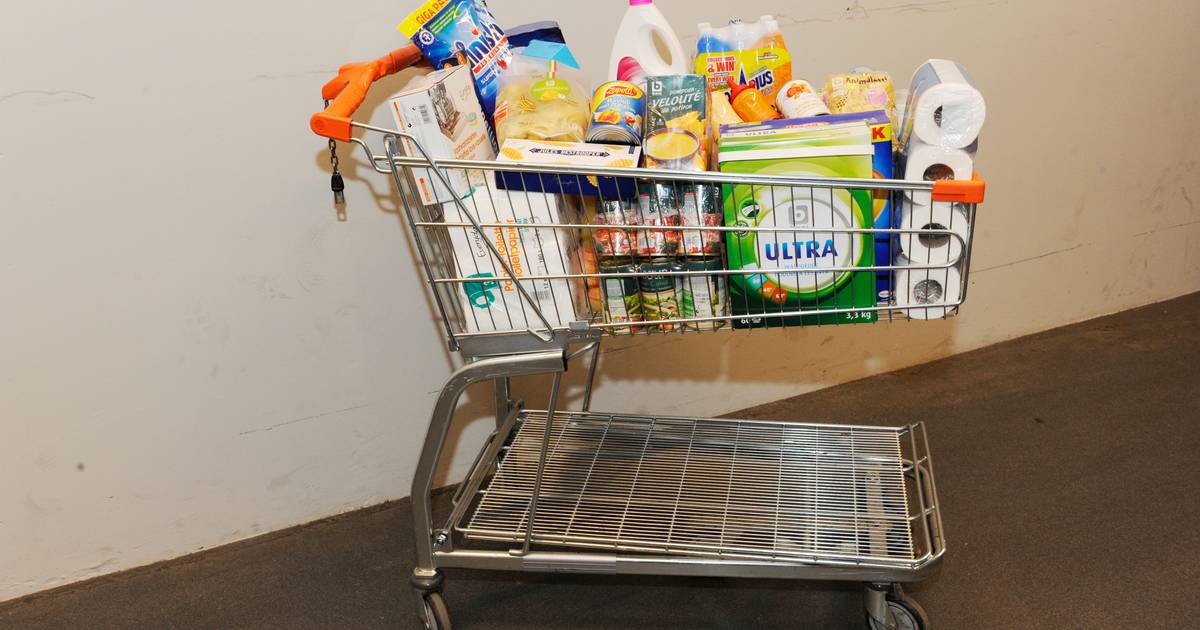 Na jaar van prijsstijgingen: winkelkar wordt goedkoper. Lidl en Albert ...