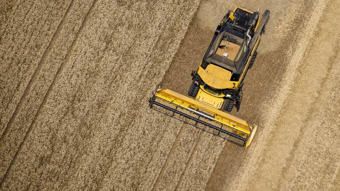 HLN - Het Laatste Nieuws - Volg het nieuws op de nr1 nieuwssite in ...