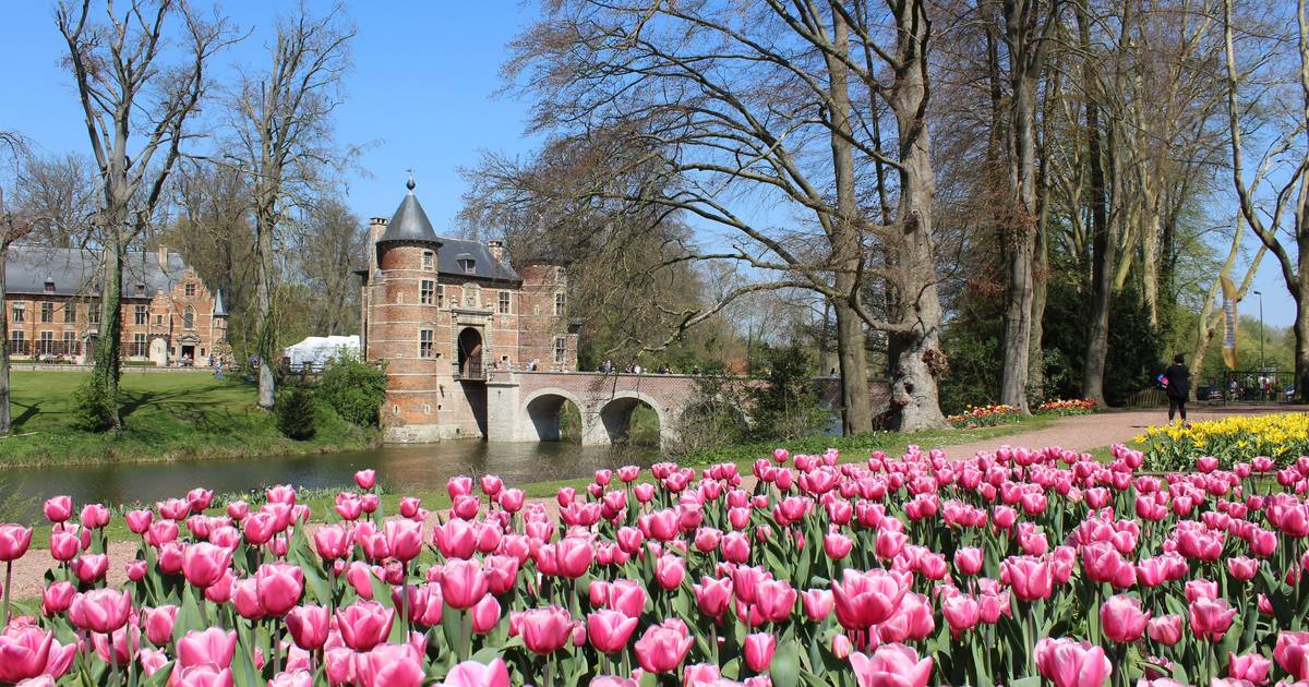 Floralia Brussels mag dit jaar opnieuw de deuren openen | Dilbeek | hln.be