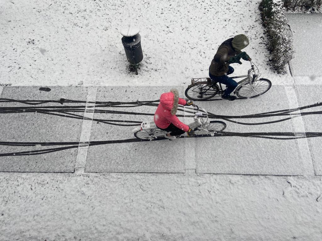 IN BEELD. Prachtige sneeuwtaferelen in Limburg, dierenwinkel maakt ...