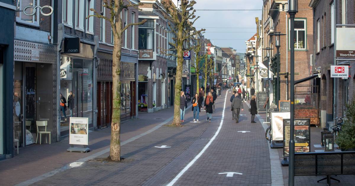 Stop de onnozele halzen zonder empathisch vermogen | columns Carel ...