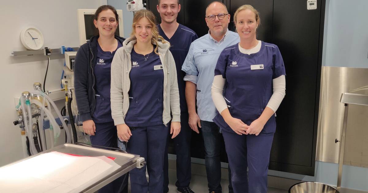 Oudenburgse dierenkliniek internationaal bekroond voor ...