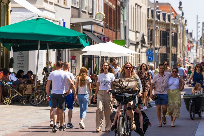 Meedenken over Den Bosch? Veel animo voor uitbreiding van inwonerpanel ...