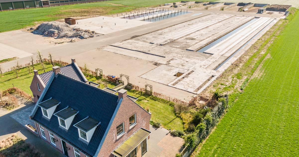 Boer Gert S. uit Werkhoven failliet verklaard na vijf branden | Utrecht ...