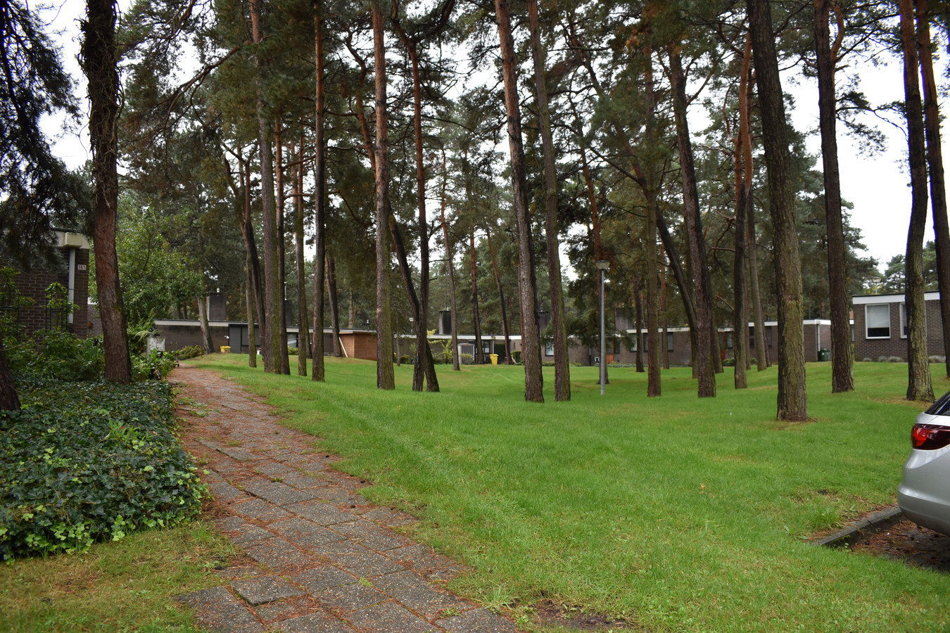 "Mooiste wijk van België" Egelsvennen ondergaat duurzame renovatie ...