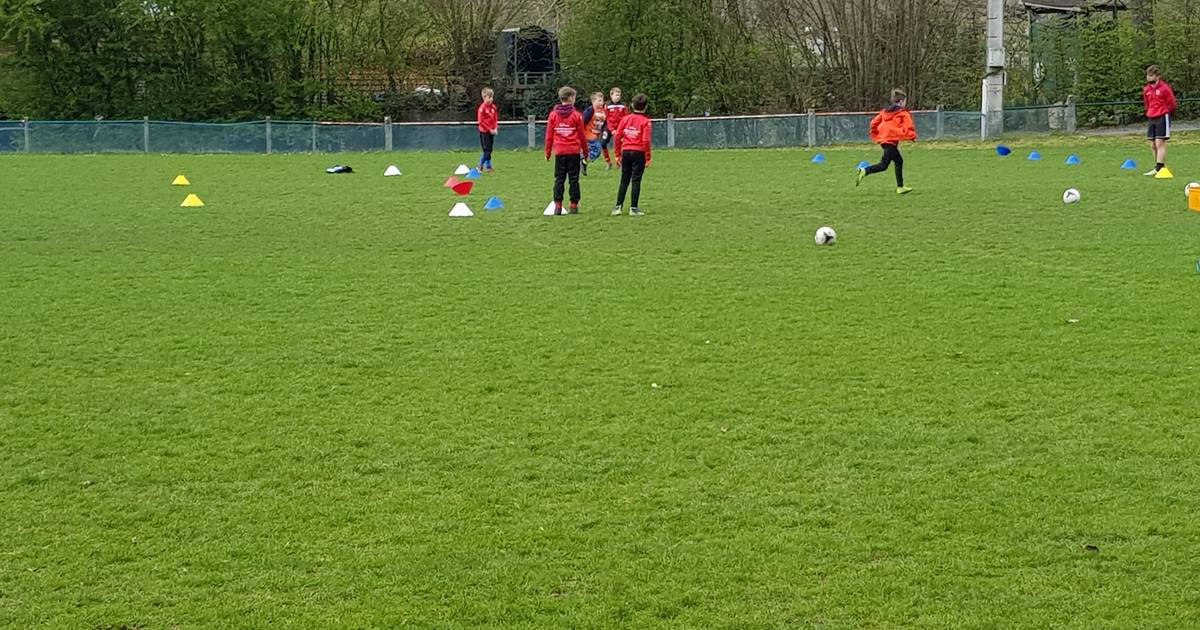 FC Dworp heeft jeugdplan klaar: club wil jonge voetballertjes aan boord ...