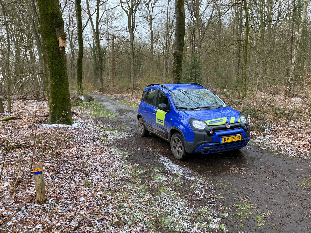 Iemand vindt in paasweekeinde kolossale, zeldzame brandbom in Epser Bos ... Iemand vindt in paasweekeinde kolossale, zeldzame brandbom in Epser Bos ...