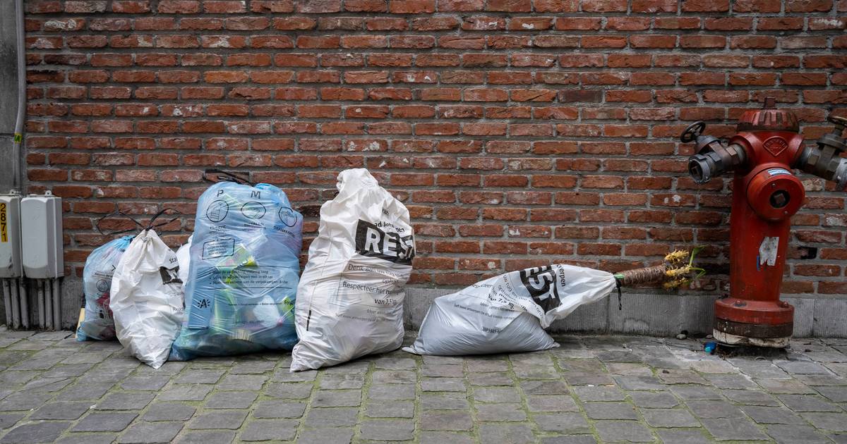 Workshop afval sorteren op 21 november | Zelzate | hln.be