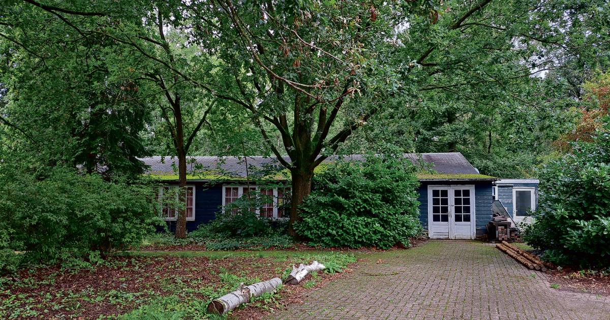 Reddingsplan voor de laatste barak van Kamp Baarschot: heemkundig ...