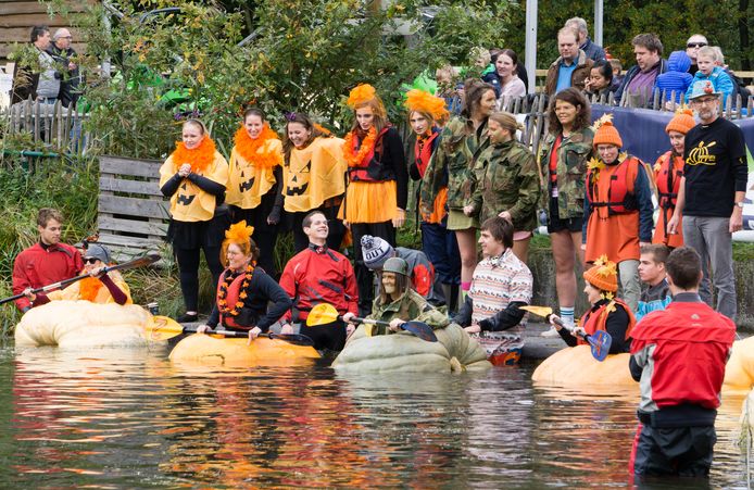 Pompoengekte breekt weer los in Kasterlee: deze activiteiten mag je ...