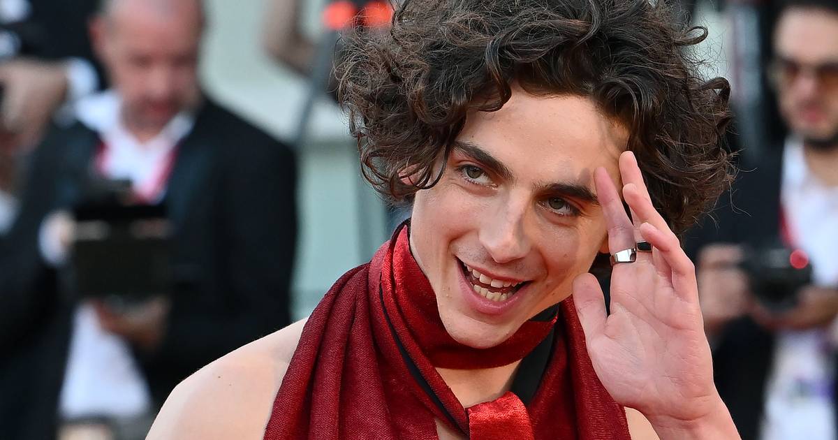 Timothée Chalamet gaat zelf zingen in Bob Dylan-film | Film | hln.be
