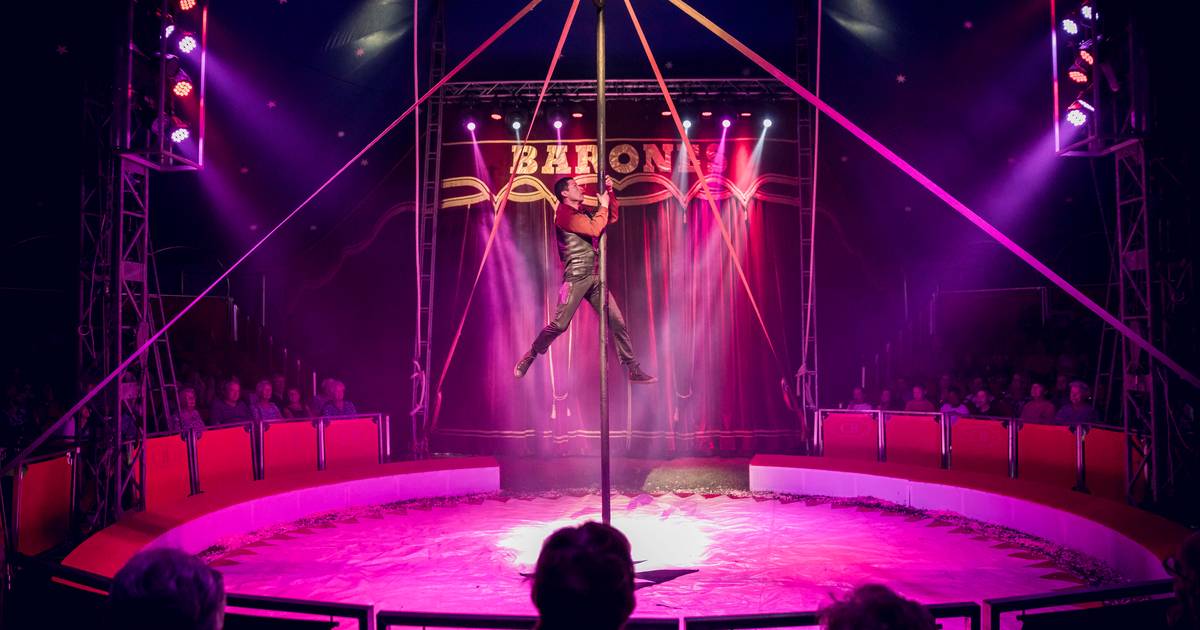 Van autorally tot celloconcert en van circus tot opera: dit zijn onze ...