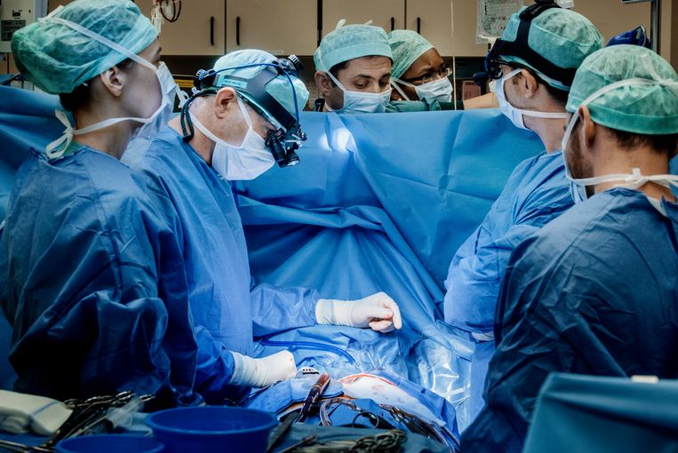 Van de loonkloof bij artsen tot het protest van de gele hesjes: dit is ...