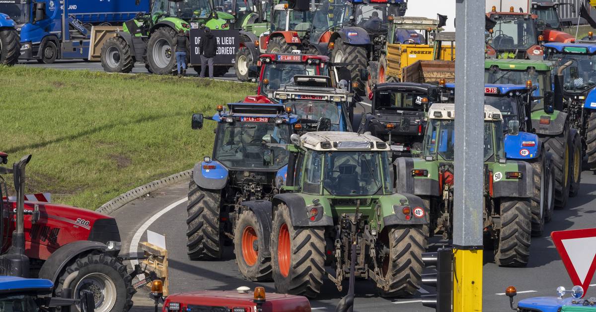 Boerenbond-voorzitter sluit niet uit dat nieuwe acties volgen | Binnenland | hln.be