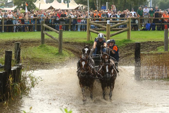Niemand ter wereld is beter met het vierspan dan Marijke uit ...