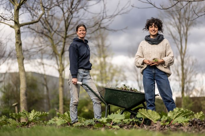 Merel (32) was recruiter in Amsterdam en is nu boer in Nijmegen: ‘We ...