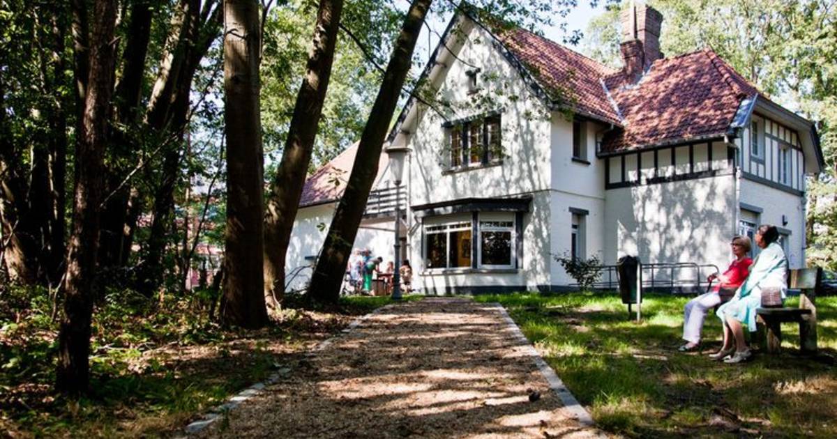 Genk-Centrum staat dit weekend in het teken van valentijn | Genk | hln.be