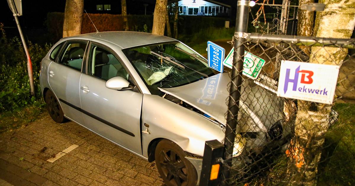 Automobilist (29) rijdt onder invloed verkeersborden, hekwerk en auto ...
