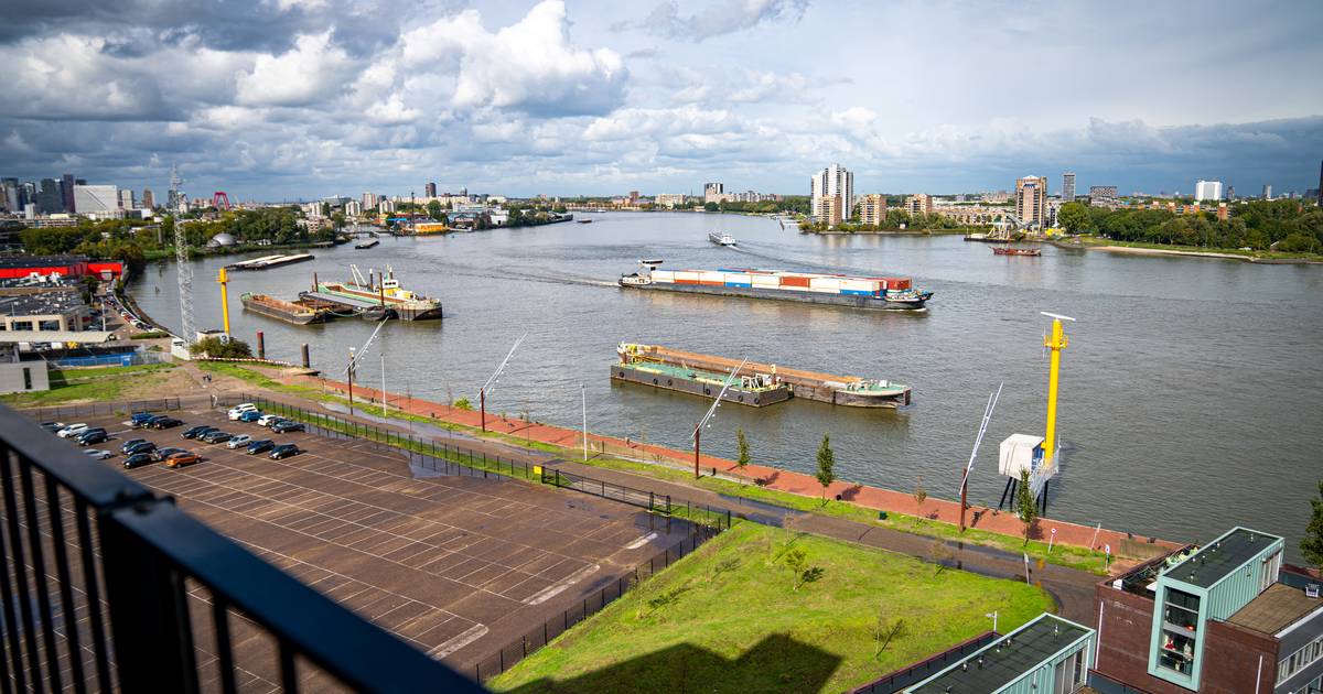 Grote zorgen bij binnenvaart om plan voor nieuwe Rotterdamse brug: ‘Dit ...