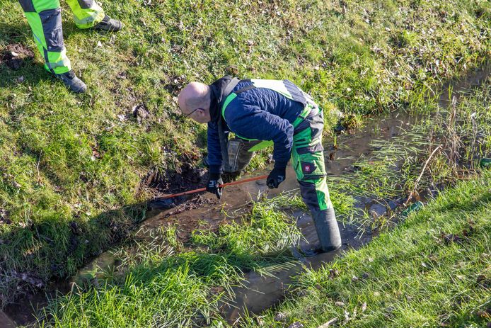 Een strontdouche, ondergekotste auto's en bloed op de muren: Deze ...