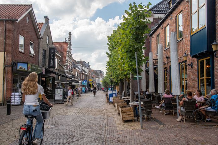 Gebeurt er voldoende in het centrum van Putten? ‘Er valt hier eigenlijk ...