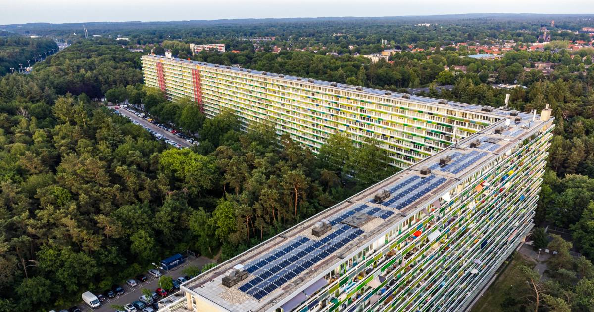 Brandweer rukt uit voor vreemde lucht in flat Zeist: ‘Maar van gaslek ...