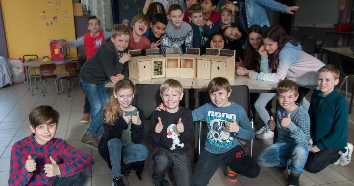 Leerlingen De Blokkendoos maken dierenverblijven | Aartselaar | hln.be