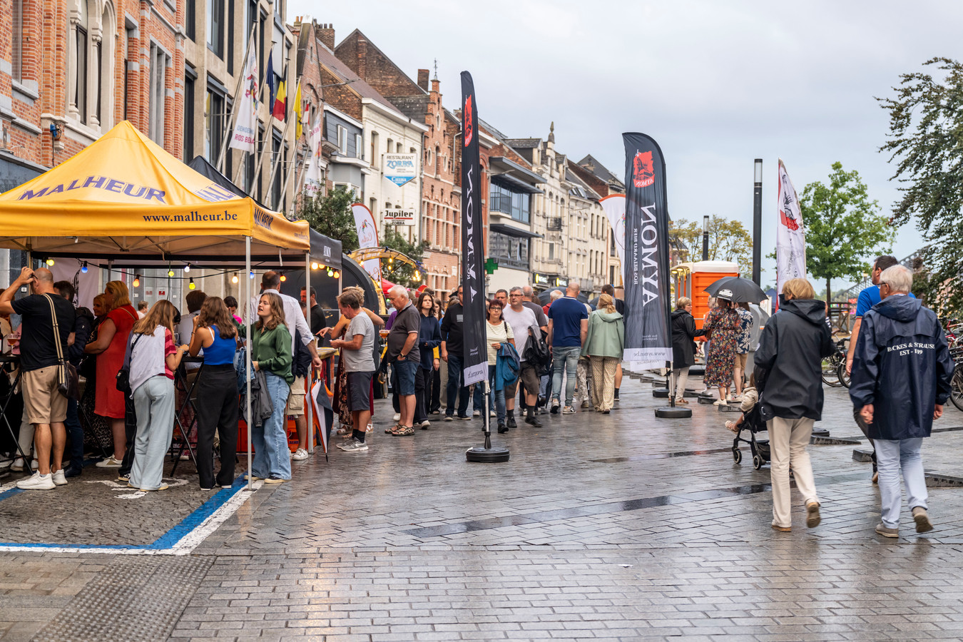Dendermonde geniet van terugkeer Walking Dender | Foto | hln.be