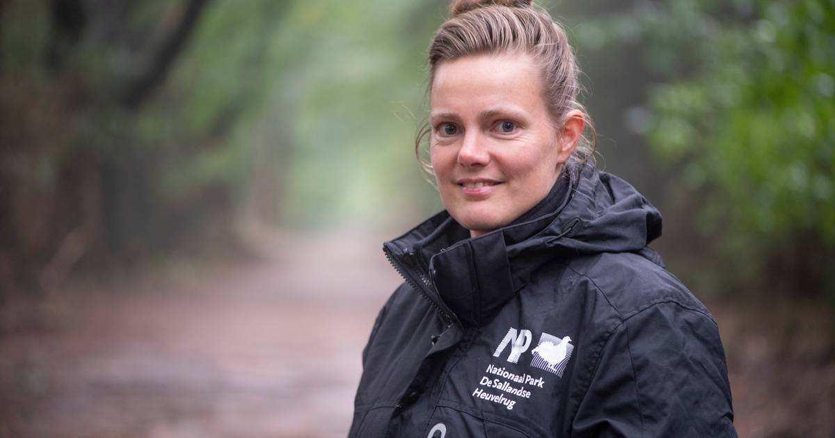 Junior Rangers gezocht voor Sallandse Heuvelrug: ‘Dagje op pad met de ...