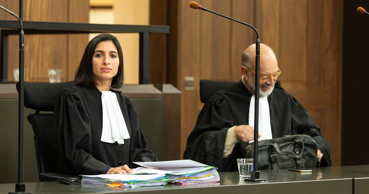 ASSISEN. “Justitie moet na 12 jaar iemand hebben, anders is dat een blaam”: verdediging vraagt ...