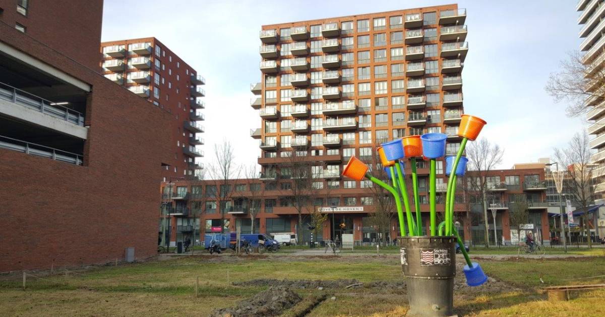 Tienduizenden tulpen bloeien straks op veld bij winkelcentrum De Hoven ...