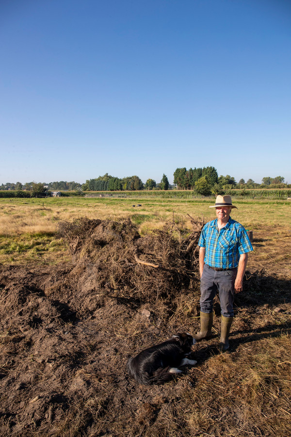 Gevaarlijke plantenziekte woekert over Wageningse Eng en drijft ...