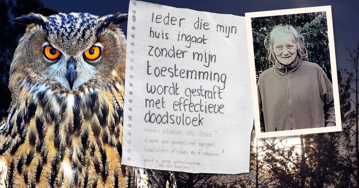 Als haar overvolle huis wordt ontruimd, landt een zeldzame uil in de ...