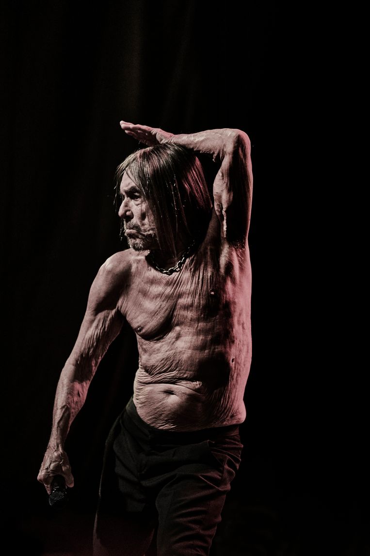 ‘Pas toen mijn tanden begonnen uit te vallen, besefte ik: ‘Iggy, het ...