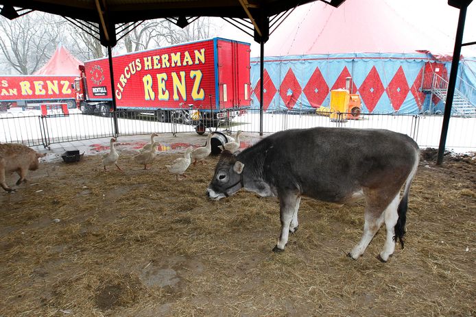 Nieuwe show Circus Herman Renz in première, zonder wilde dieren ...
