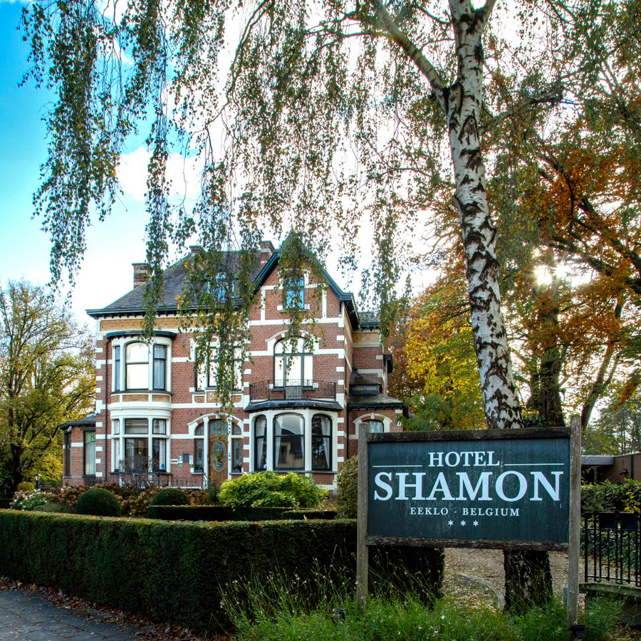 Windy (36) en Tomas (41) kopen bijna 100 jaar oude villa naast hun ...