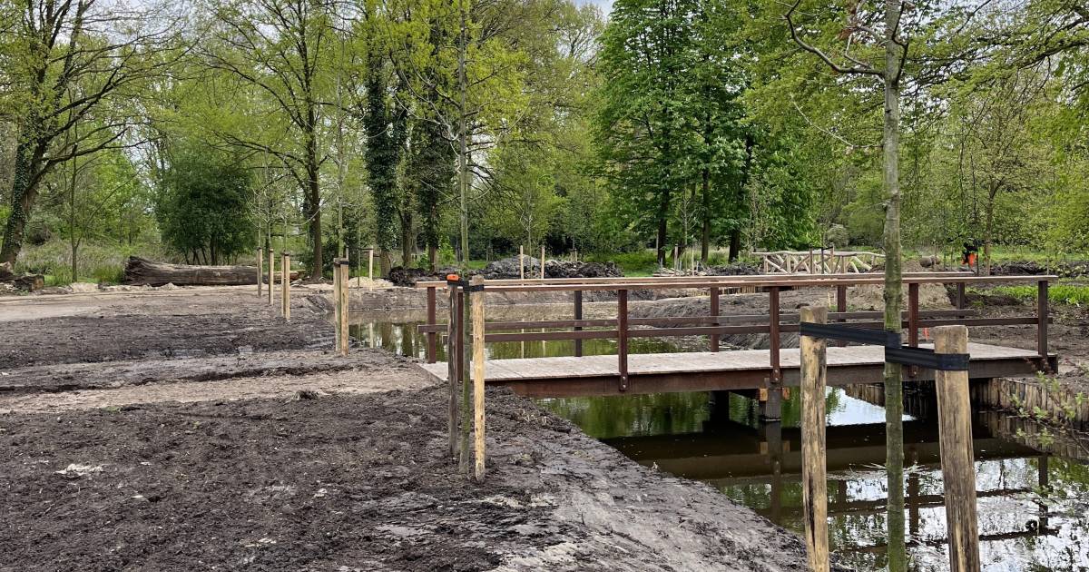 Kasteelpark Geldrop weer stuk groener; honderd nieuwe bomen aangeplant ...