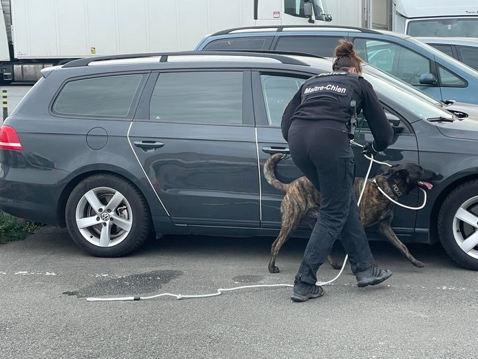 Drugshond vindt 100 gram heroïne bij controle actie op transportzone ...
