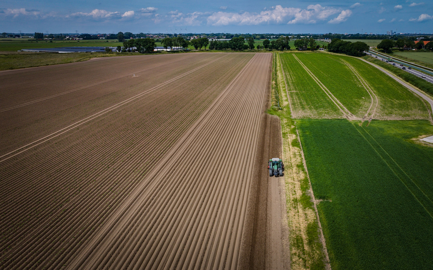 Aanhoudende regen een drama voor aardappelboeren: 'Als het doorregent ...