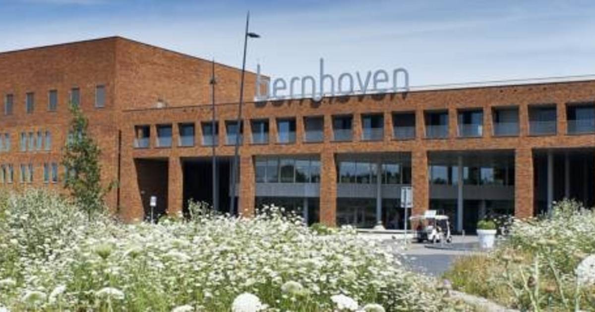 Specialisten Ziekenhuis Bernhoven geven maatschap op | Uden | bd.nl