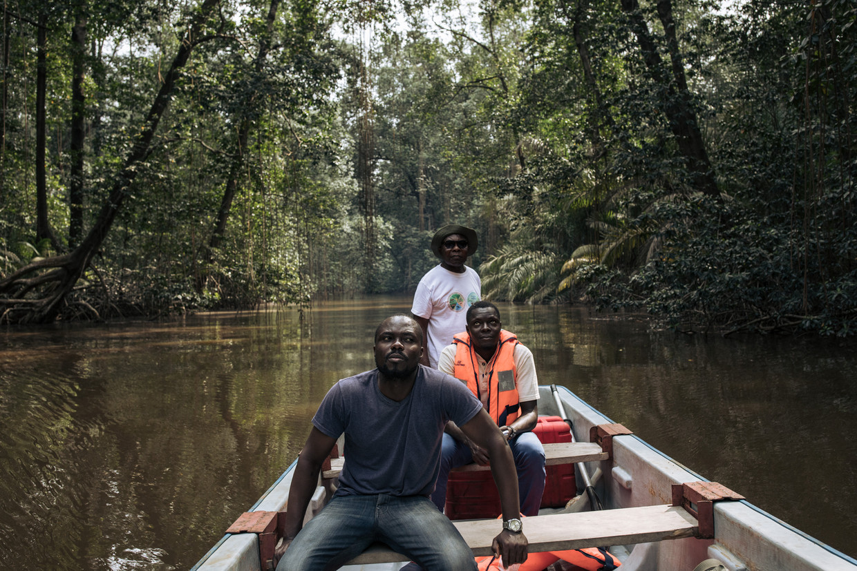 Niet het Amazonewoud, maar gigantisch veengebied in Congo is de groene ...