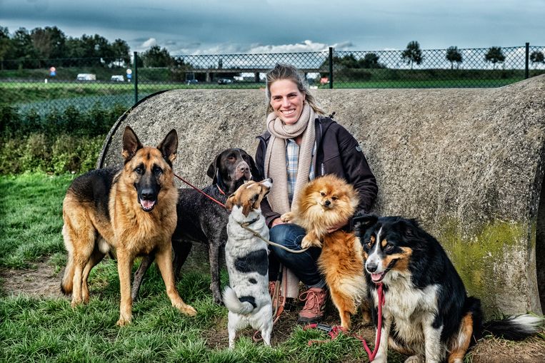 ‘We gaan dit niet laten passeren’: langs het Ventilus-traject ...