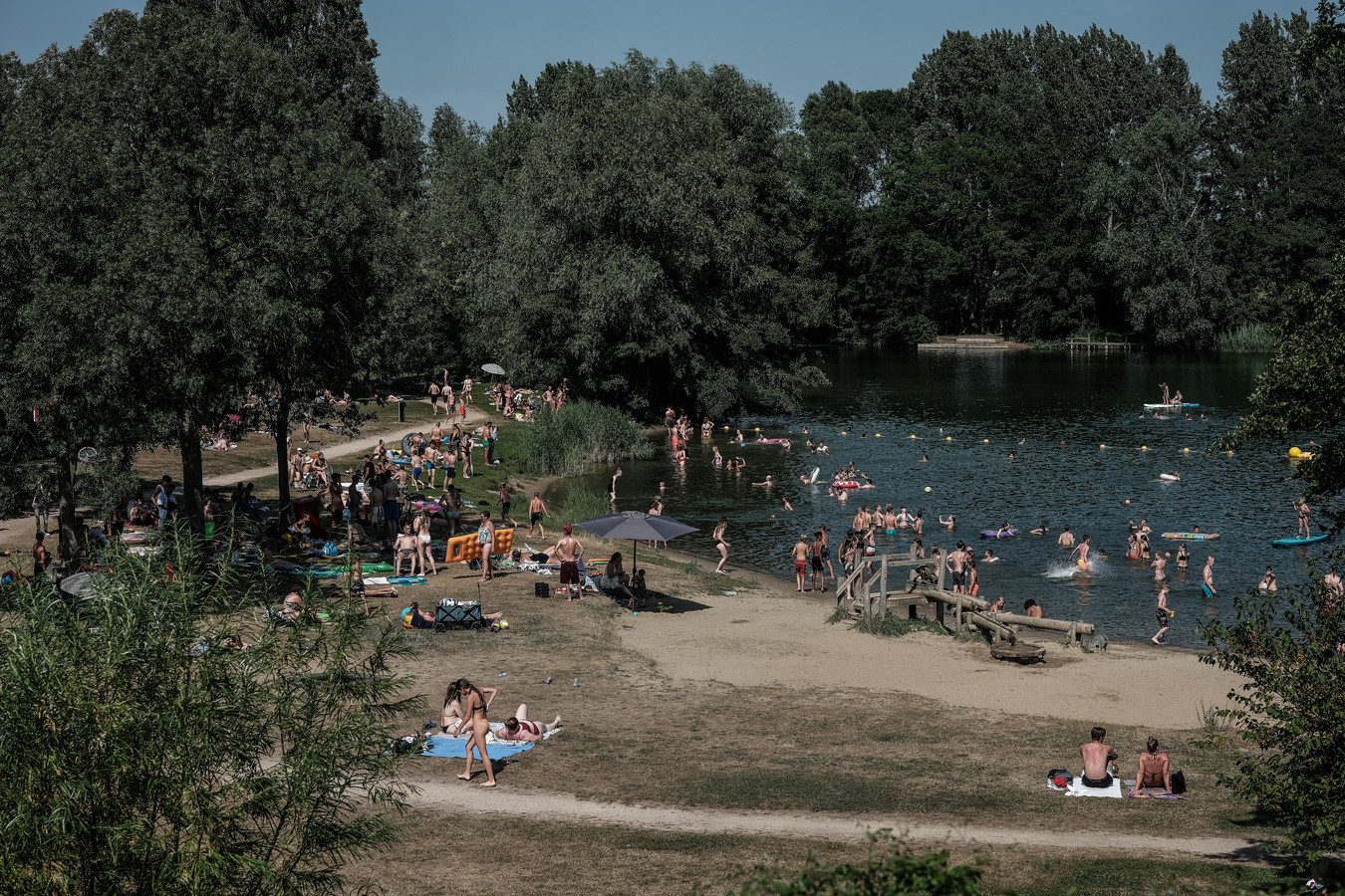 Blauwalg in De Breuly in Zevenaar en in zwemwater naast populaire ...