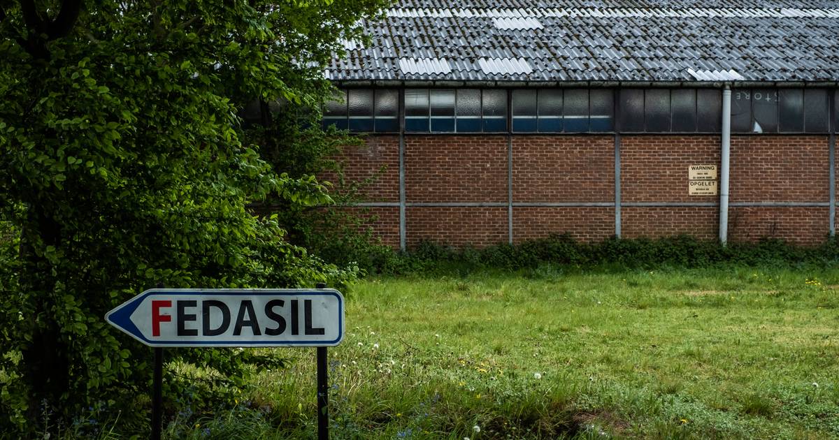Gemeente en Fedasil sluiten protocol af: voortaan nog maximum 450 ...