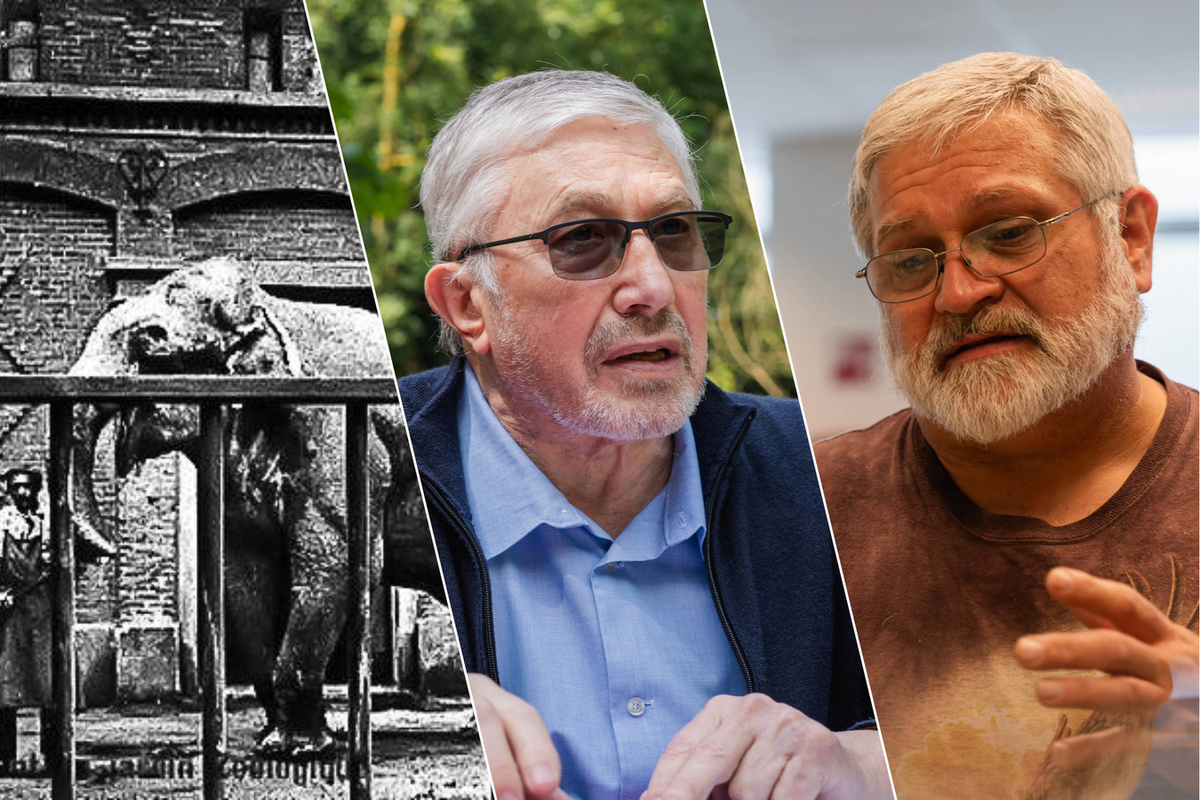 Hoe de Gentse bourgeoisie haar eigen dierentuin teloor liet gaan: “De ...