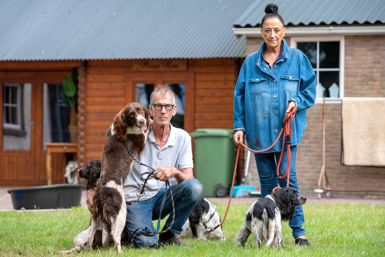 Els ving al honderden honden op van omstreden fokker uit Eersel: ‘Deze ...