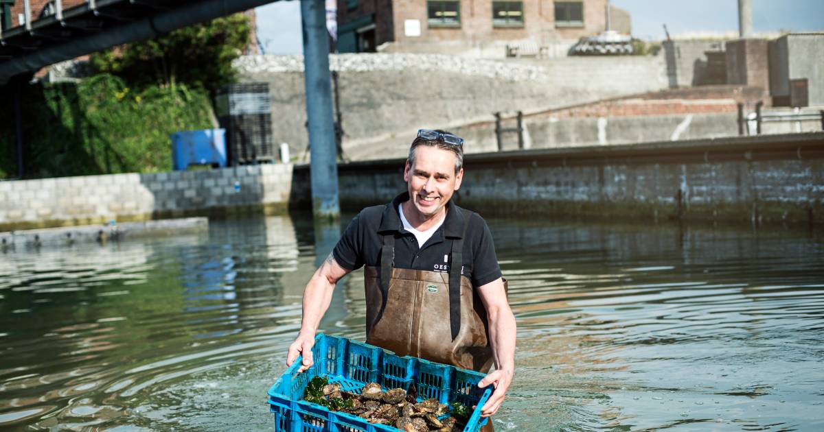 Oestersteker Peter Oreel uit Yerseke schurkt tegen de wereldtop aan ...